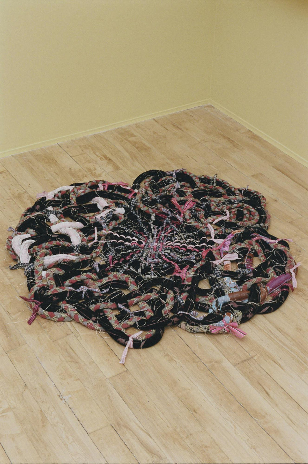 Annular Bottle – Jacqueline Sullivan Gallery